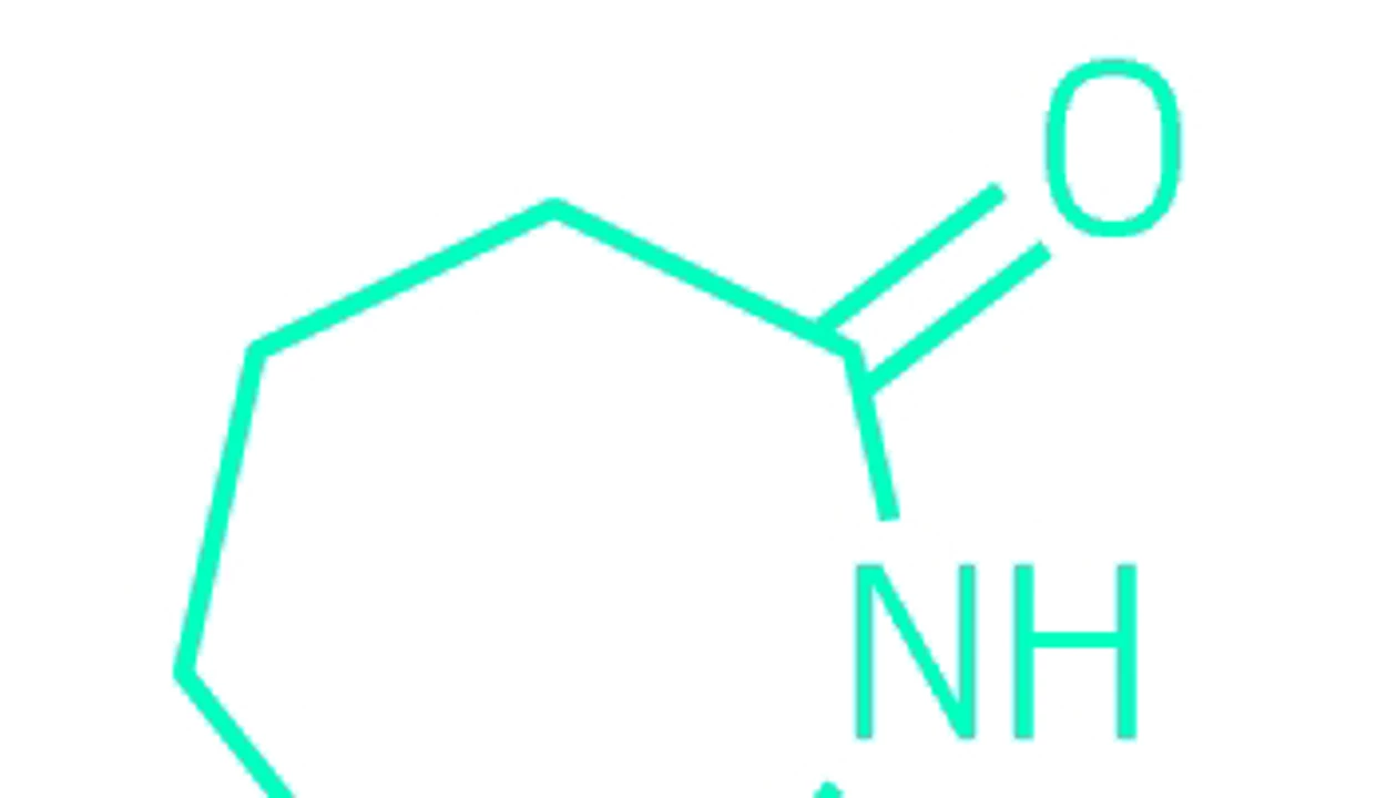 Fibrant to shutter U.S. caprolactam unit