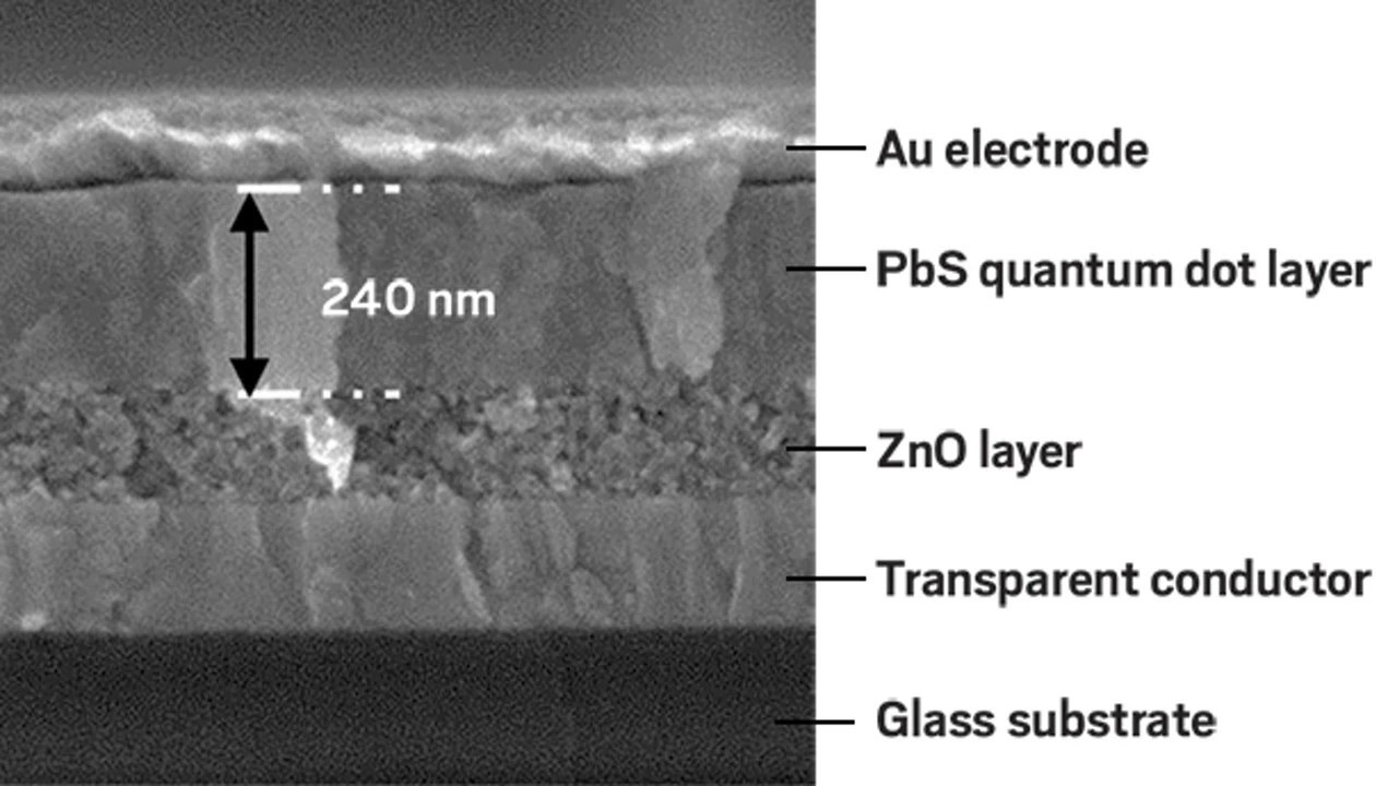 Quantum dot solar cells hit record efficiency