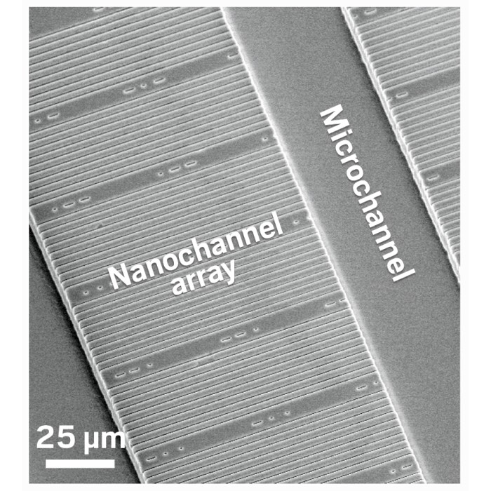 Bacterial-ticker-tape-puts-cells