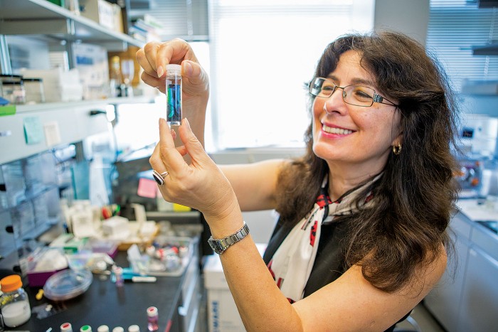 Harvard-spins-off-fingerprintfirm