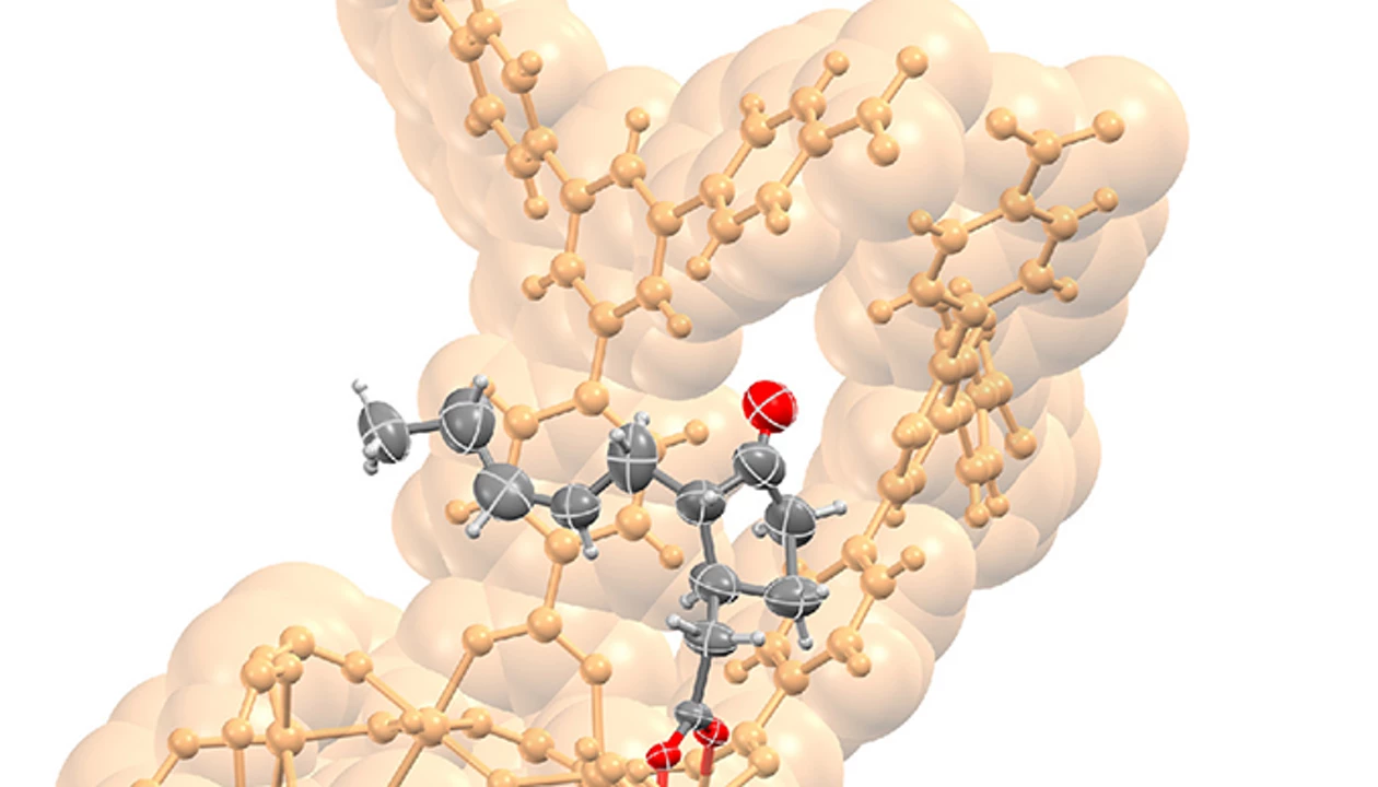 Structures solved by locking molecules in place