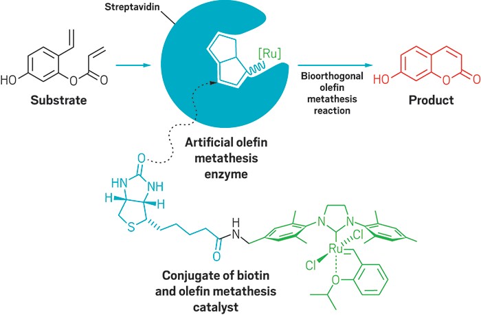 Organometallic Reactions Molecule Activation Via The Classical