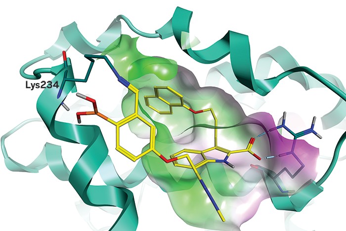 Covalent-drugs-target-cancer-protein