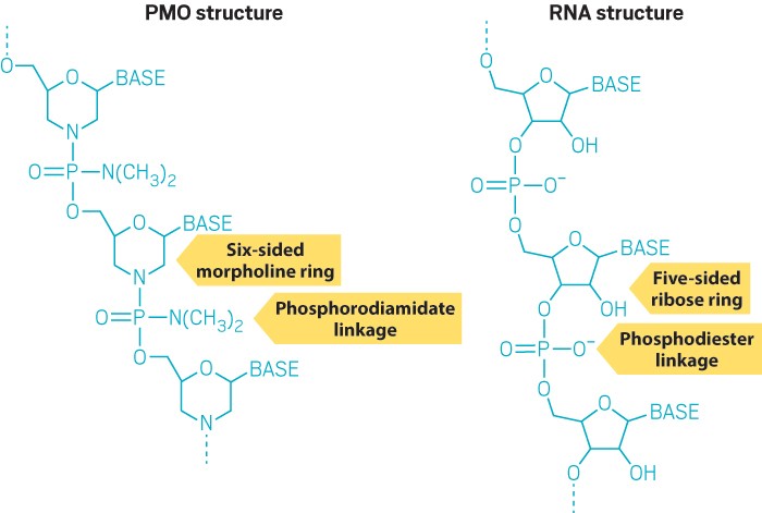 FDA-okays-first-DMD-drug