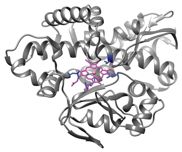 Artificial-metalloenzyme-efficient-ever