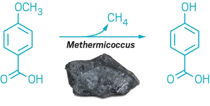Subsurface-microbes-turn-methoxy-compounds