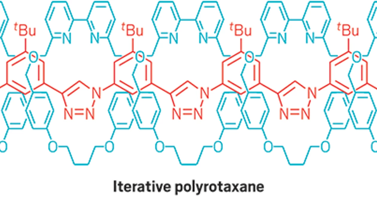 Ramped-up route to polyrotaxanes