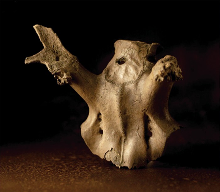 Pristine-Stone-Age-wood-bone