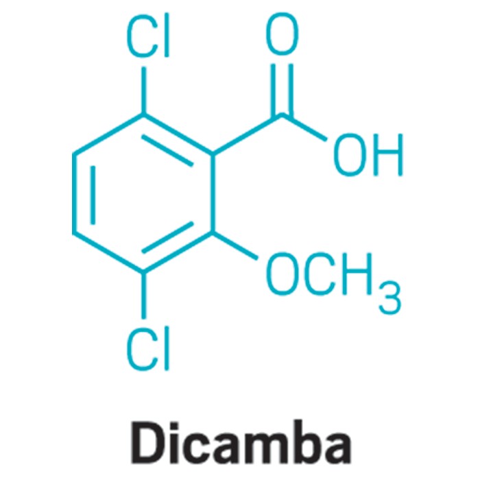 EPA-approves-dicamba-use-modified