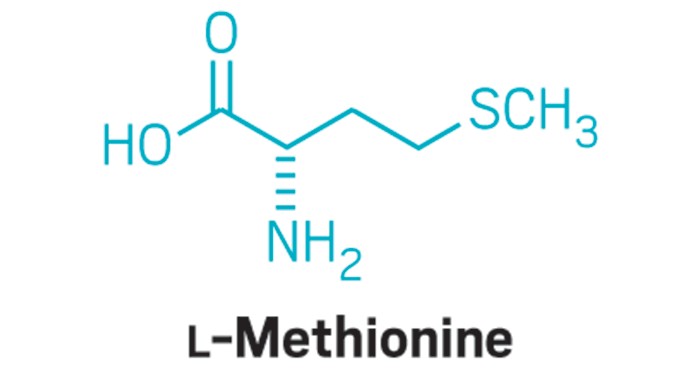 Evonik-clinches-deal-biobased-methionine