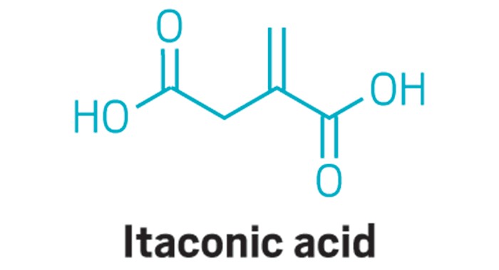 Partners-develop-itaconic-polymers