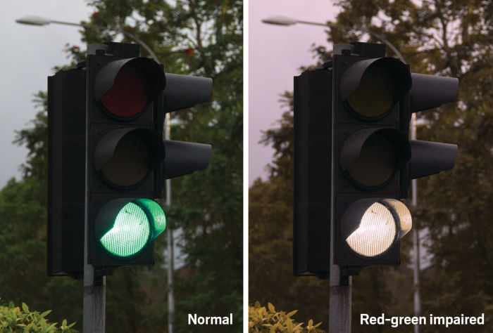 What Do Colorblind People See Simulation