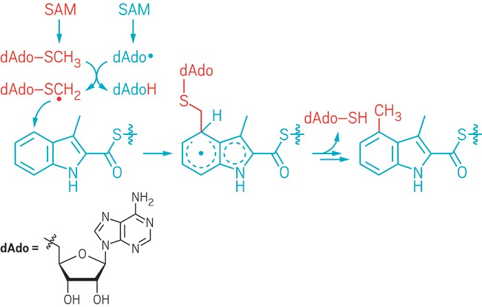 Mechanisms New Mechanisms Of Biofilm Resistance To Aminoglycoside
