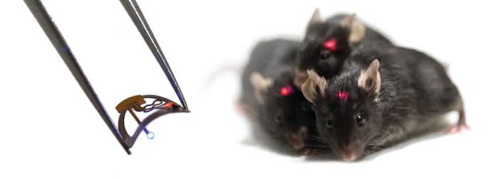 materials-chemistry-advancing-optogenetics-revolution