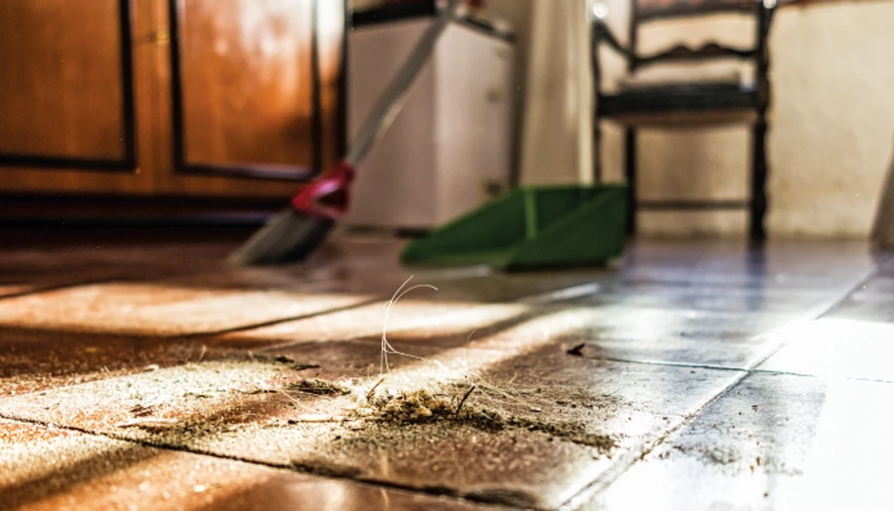 Tracing the chemistry of household dust