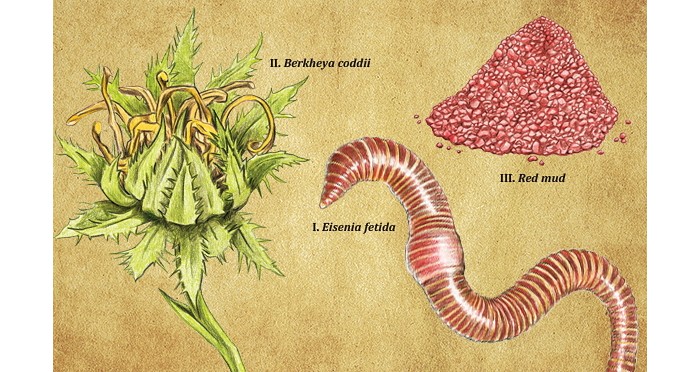Catalyst Example In Everyday Life