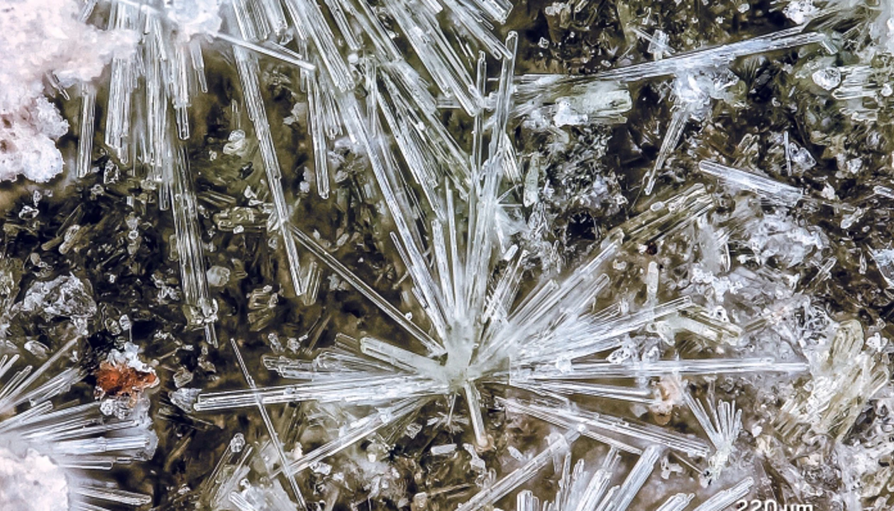 Minerals formed due to people’s activity may mark Anthropocene epoch