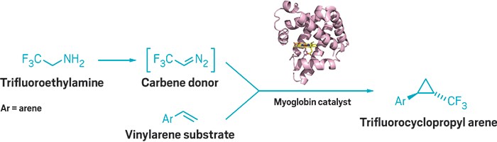 New-way-make-chiral-arenes