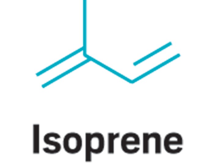 Atmospheric-isoprene-chemistry-clarified