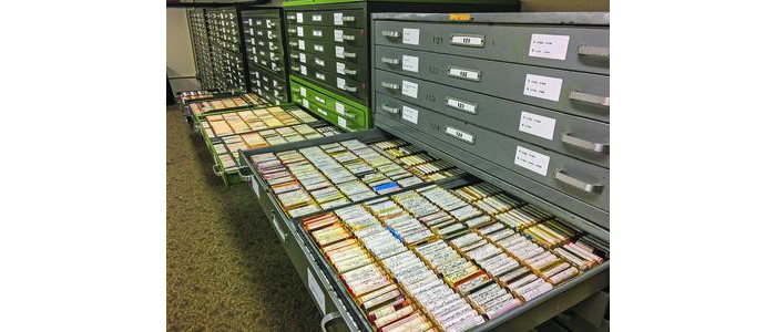 Digitizing-massive-dye-library