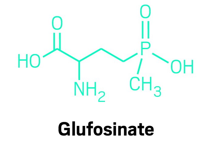 Bayer-divest-Liberty-Link