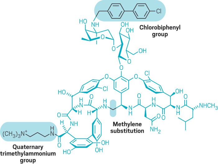 Vancomycin Class Total Syntheses Of Vancomycin Organic Synthesis Set
