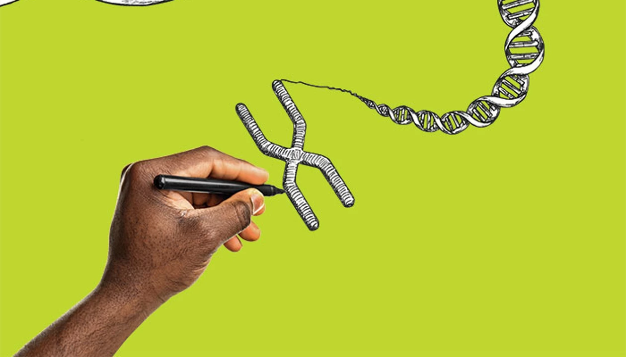 Writing the human genome