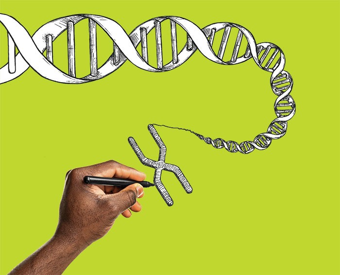 Writing-human-genome