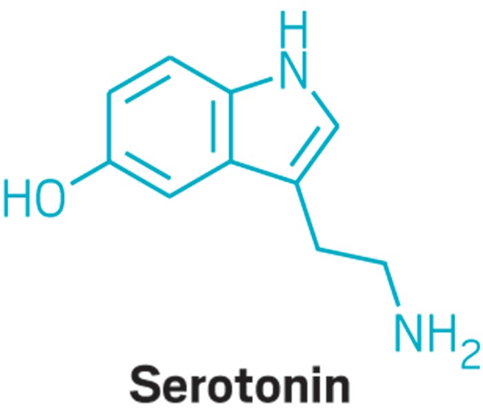 Serum-serotonin-levels-elevated-cases
