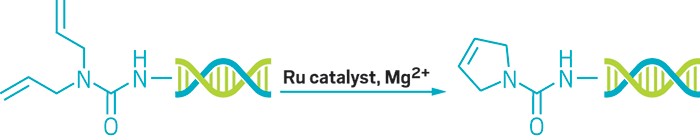 Making-ring-compounds-DNA-encoded