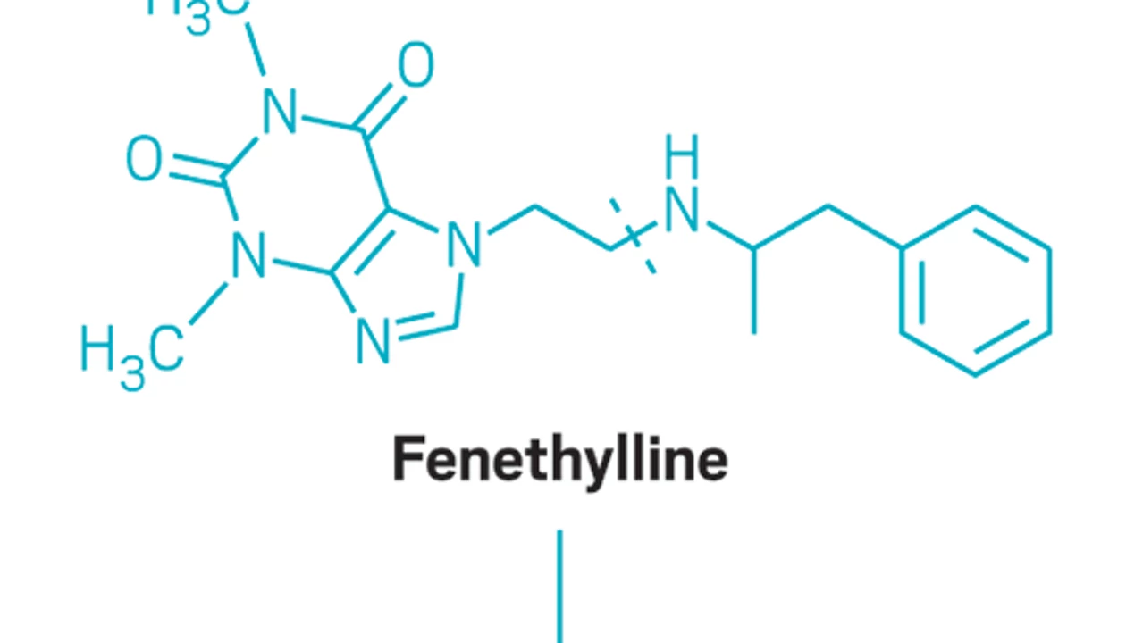 Secrets of stimulant abused in Middle East revealed