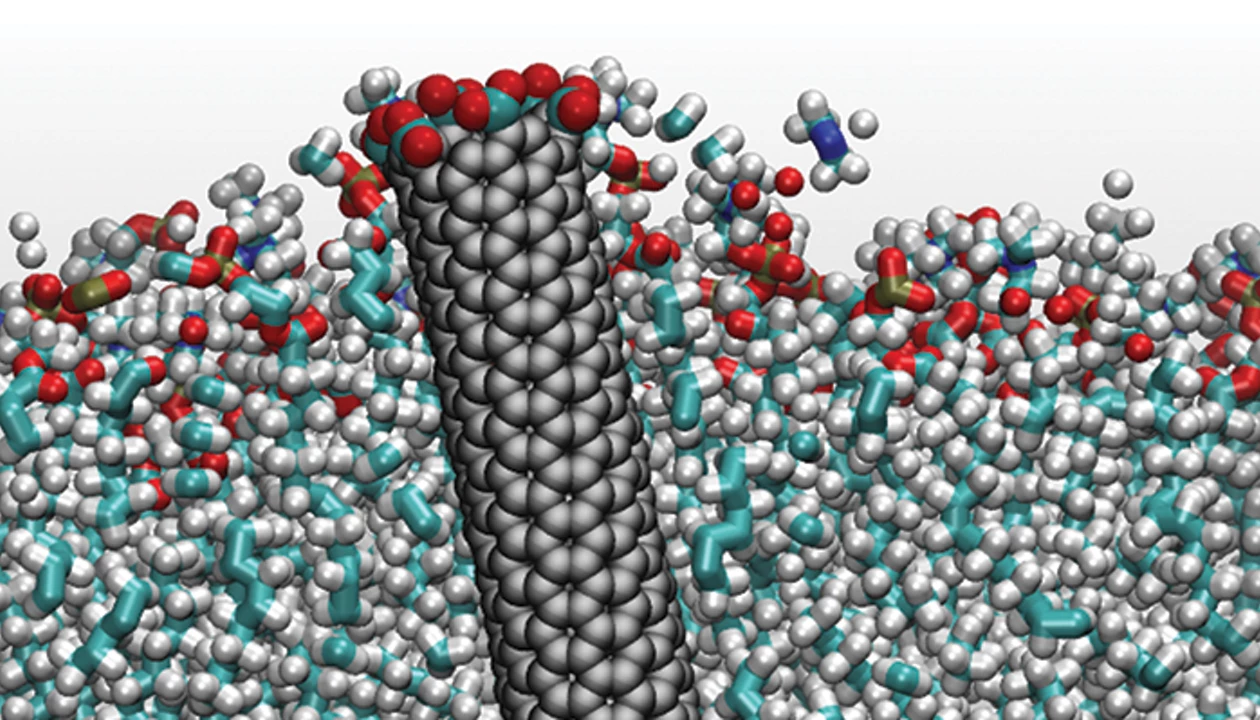 Skinny nanotubes break aquaporin’s record for moving water