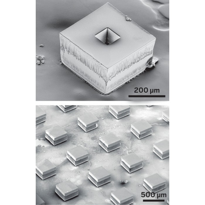 Fillable-polymer-microparticles-offer-new