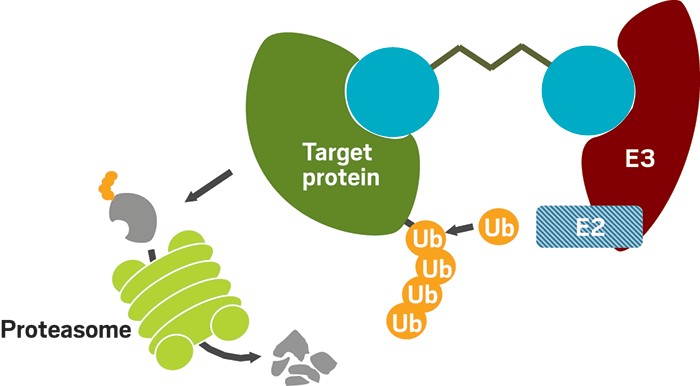 Kymera-launches-30-million-tackle