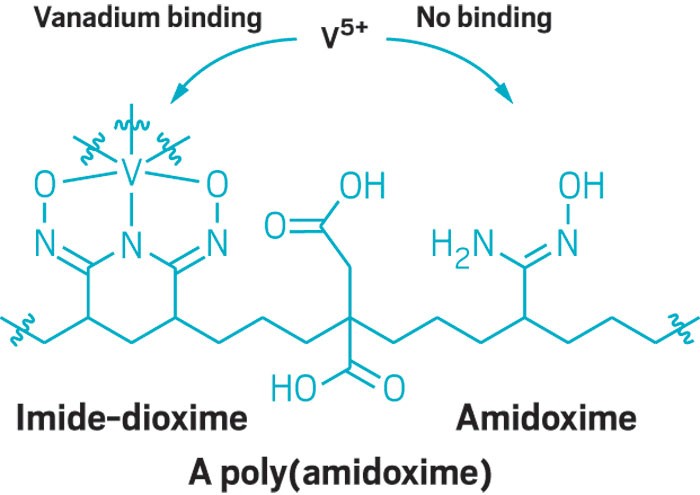 Metal-binding-polymer-continues-surprise