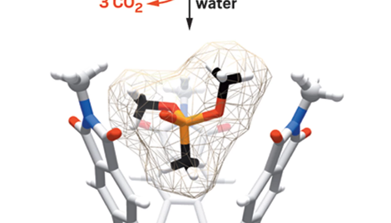 Molecular baskets nab nerve agent simulants