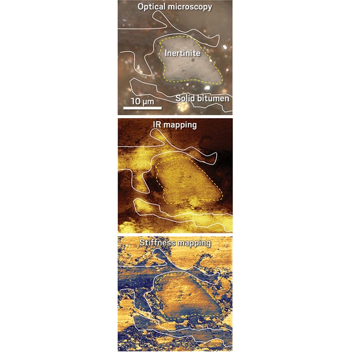 Atomic Force Microscopy Infrared Spectroscopy