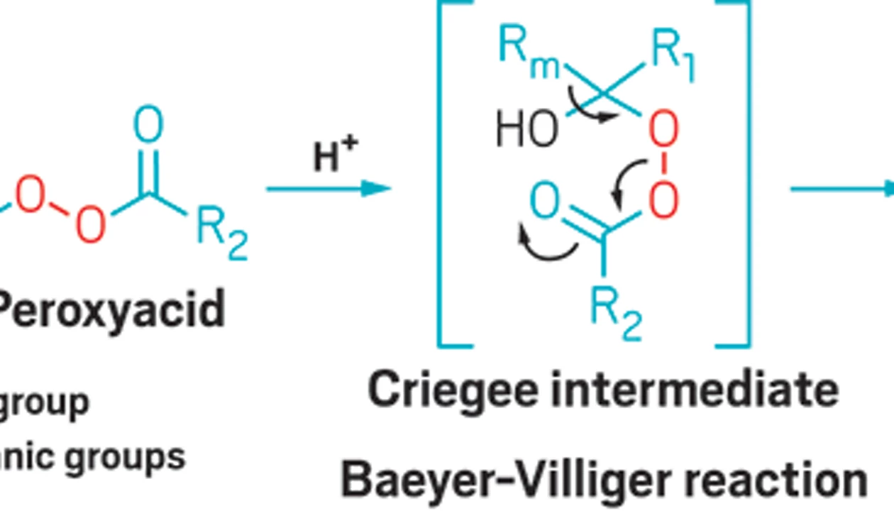 Elusive Criegee reaction intermediate captured