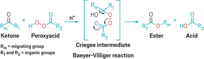 Elusive-Criegee-reaction-intermediate-captured