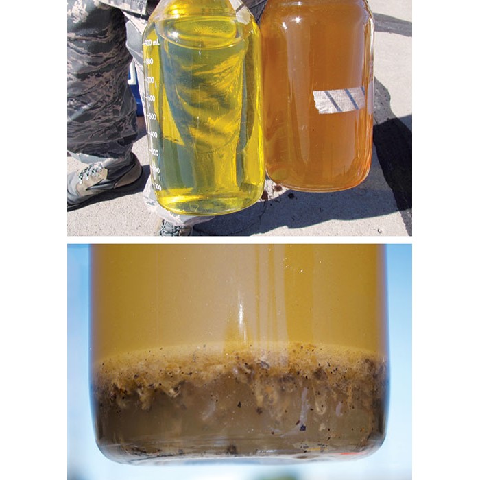 Bacteria In Diesel Fuel