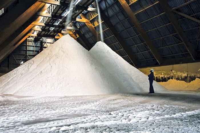 AkzoNobel will sell chemical division to the Carlyle Group and GIC for ...