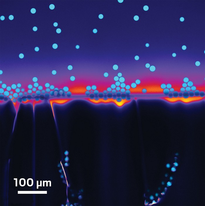 Watching emulsions freeze﻿