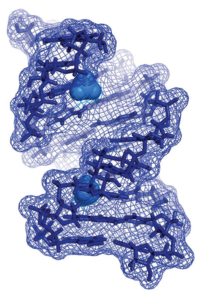 Accent Therapeutics launches to target the epitranscriptomic RNA code ...