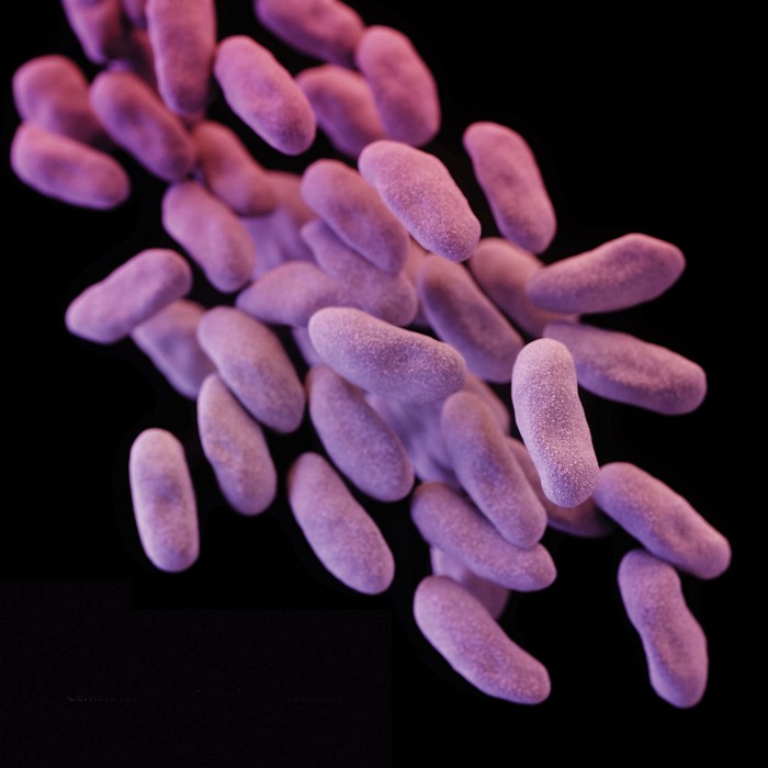 $50 million more for CARB-X will help biotech companies fight ...