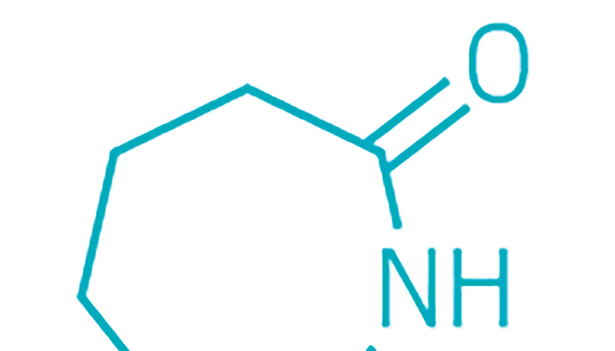 Chinese firm buys nylon precursor unit