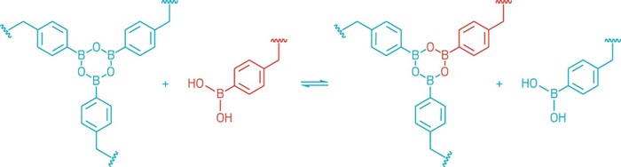 Plastic Polymer Structure Polymer Structures | SPE