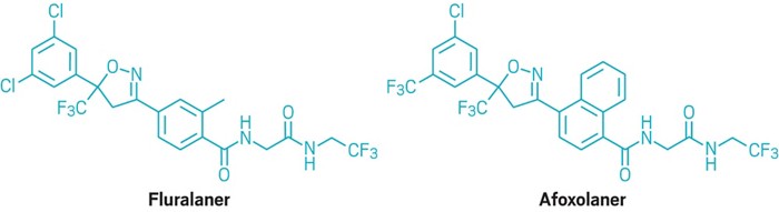 Calculations suggest flea and tick medications for pets could benefit ...
