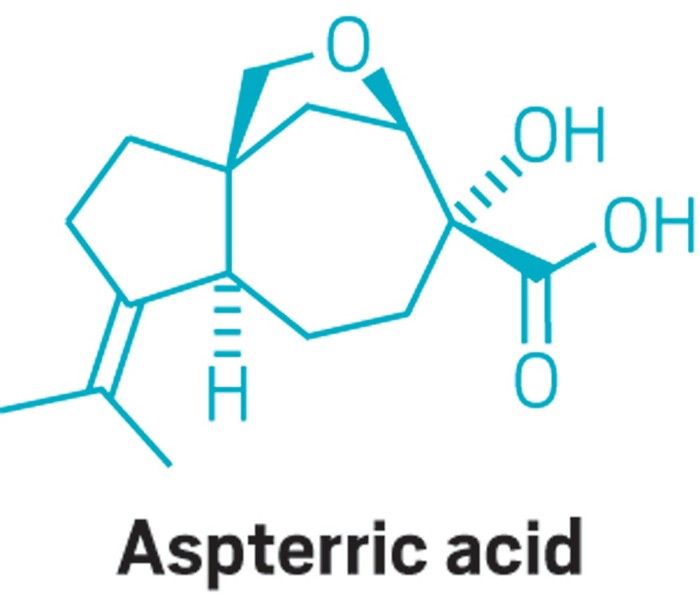Molecule from fungi might whack weeds