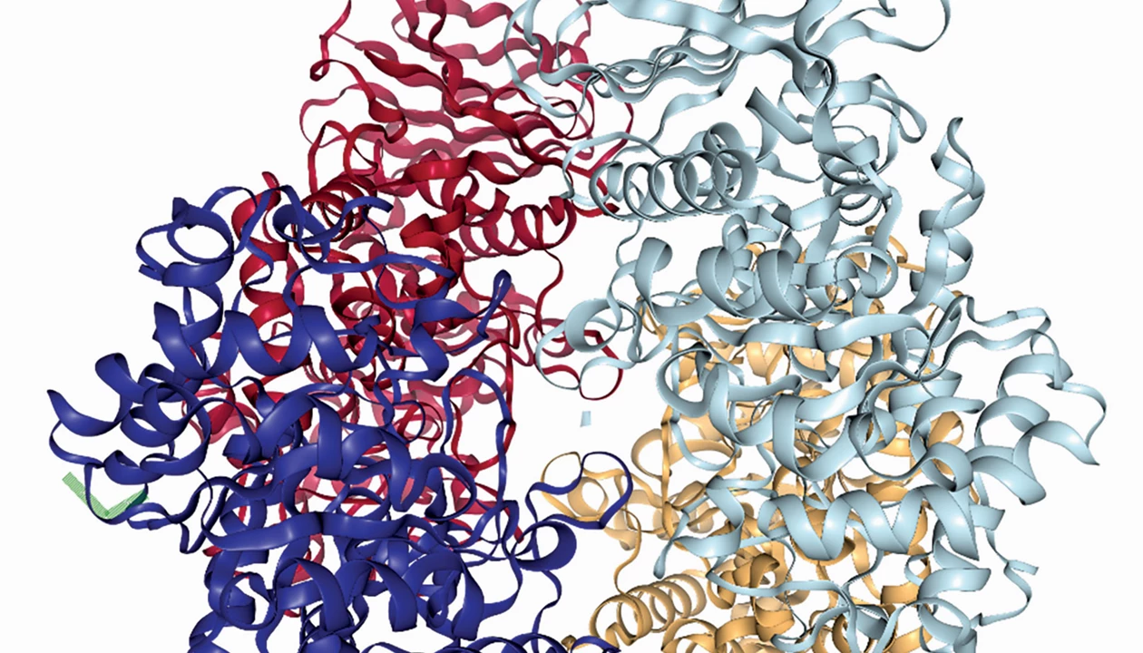 Fetal gene therapy could treat genetic diseases in the womb