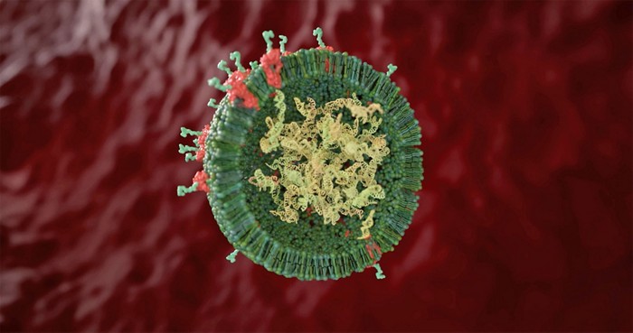 Meet the exosome, the rising star in drug delivery